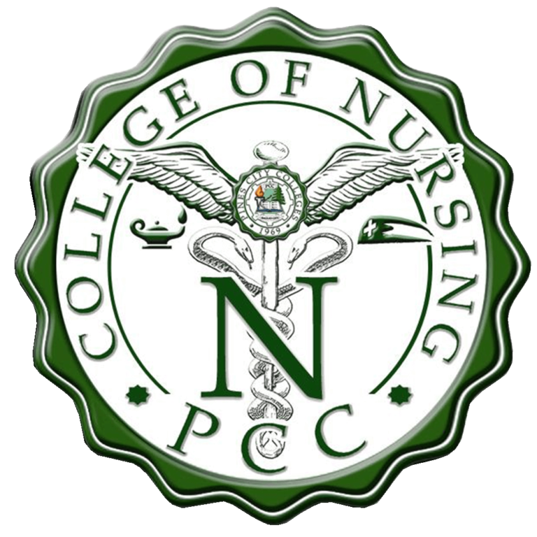 Pines City Colleges Degree Programs